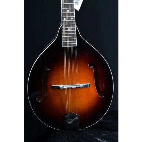 ROVER RM-50 ROVER-RM-50 – The Guitar Shop